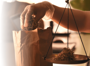 About Us - Beijing Tong Ren Tang