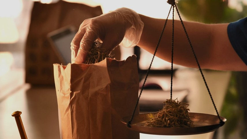 Traditional Chinese Medicine Doctor Dubai – Acupuncture & TCM Clinic in ...